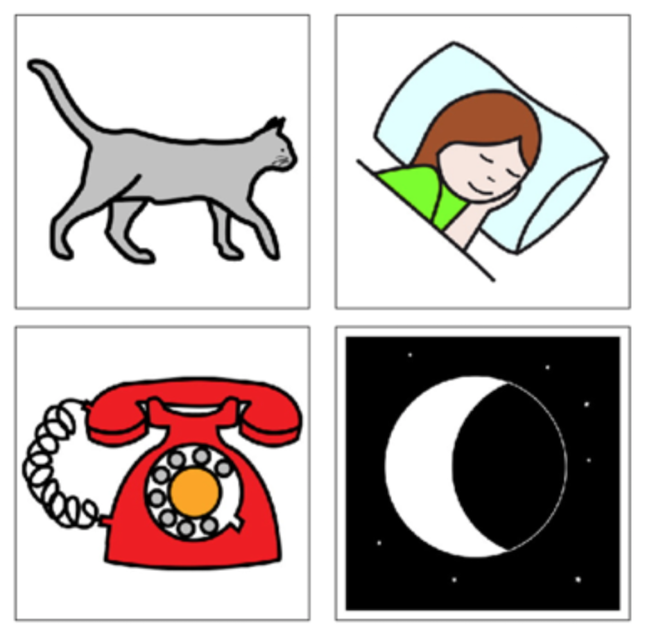 Study on the “Iconicity and ease of learning of ARASAAC pictographic ...
