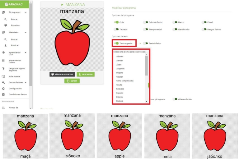 Tutorial 10 – ARASAAC Website – Customization – Text Options – Aula ...